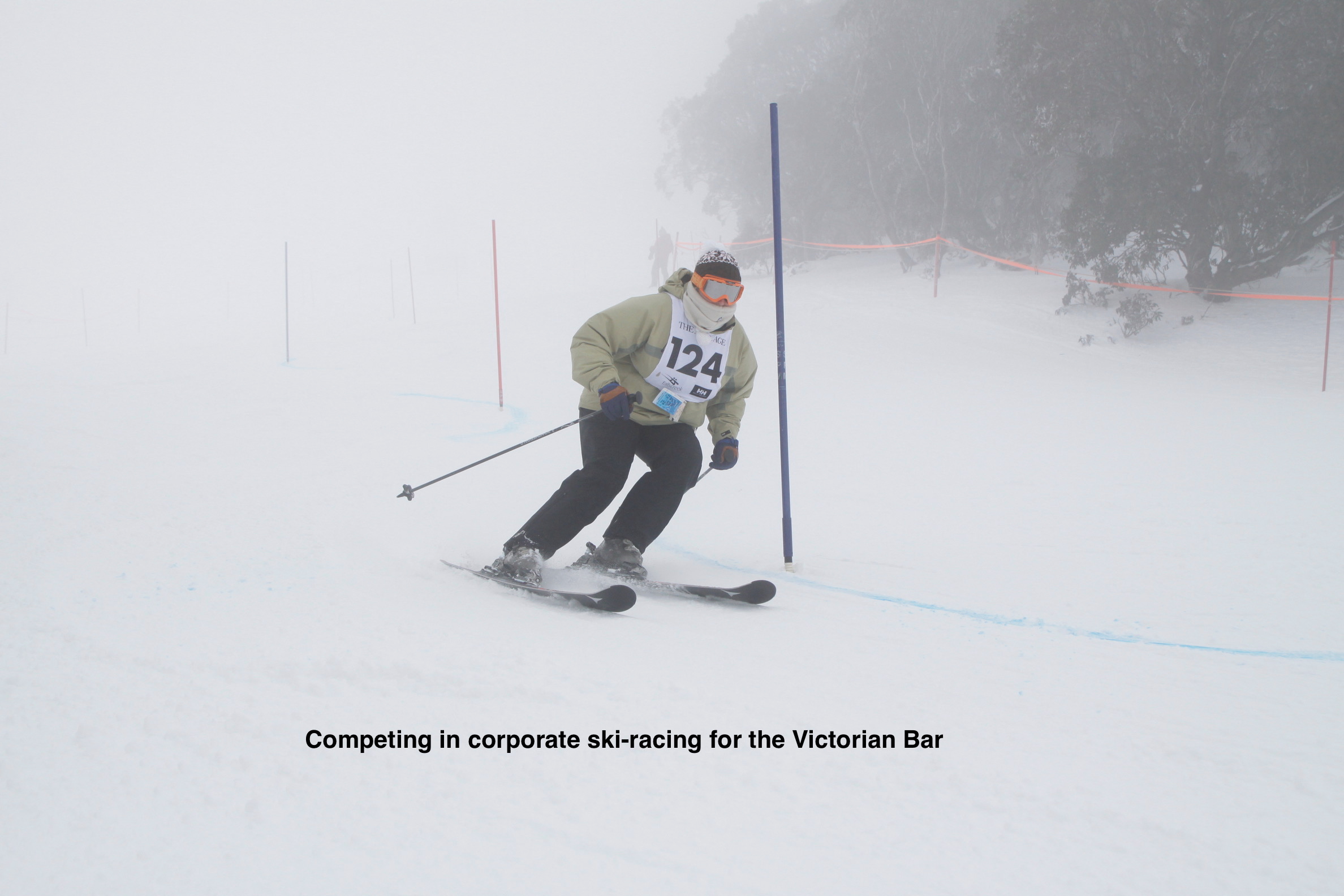 Judge Sara Hinchey | Greens List